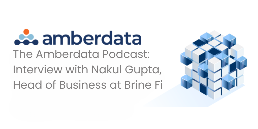 Amberdata Amberdata Podcast #7 feat Nakul Gupta of Brine Fi
